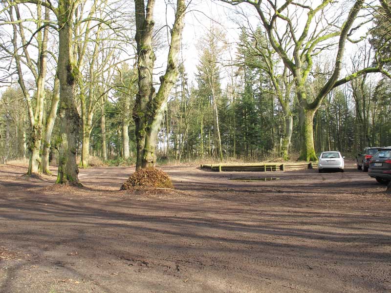 Der Thingplatz in Friedrichsgabe | Spurensuche Kreis Pinneberg und Umgebung
